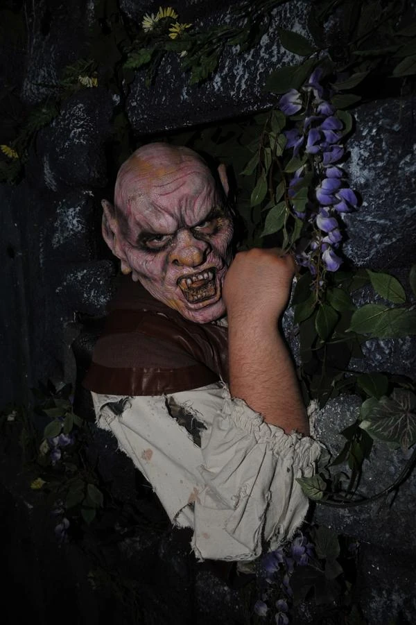 Troll Bridge | Halloween Horror Nights Wiki | Fandom