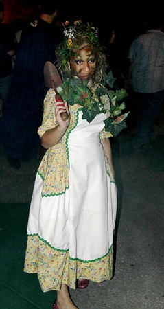 Mary Mary Quite Contrary Costume