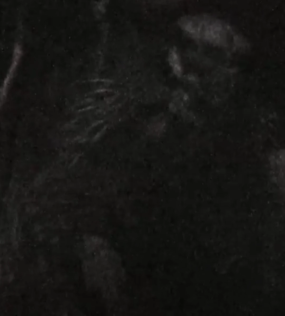 Willow Plant Creatures | Halloween Horror Nights Wiki | Fandom