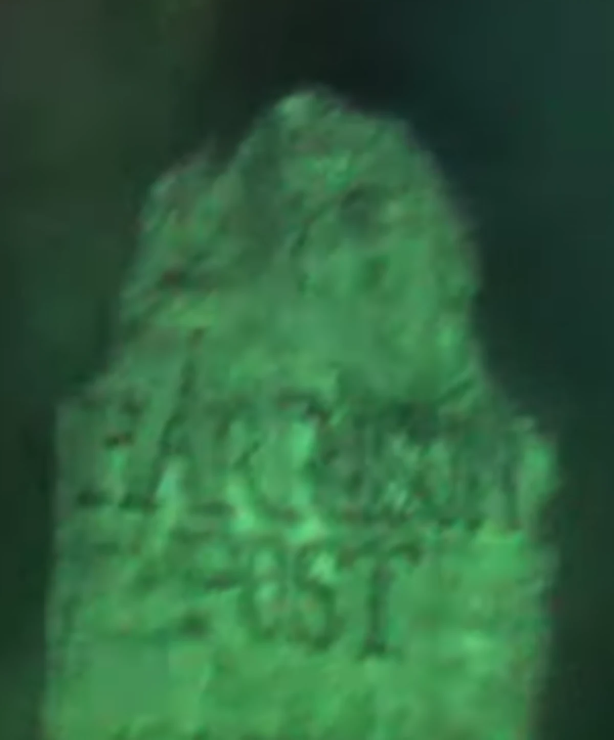 Harrison Post | Halloween Horror Nights Wiki | Fandom