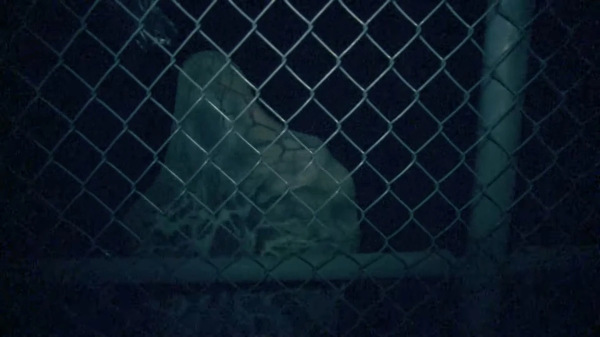 Armless Man | Halloween Horror Nights Wiki | Fandom