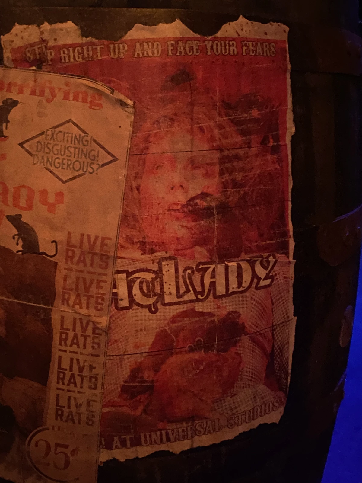 Rat Lady | Halloween Horror Nights Wiki | Fandom