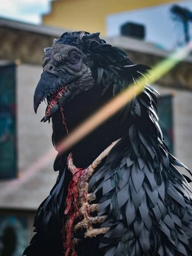 Crows | Halloween Horror Nights Wiki | Fandom
