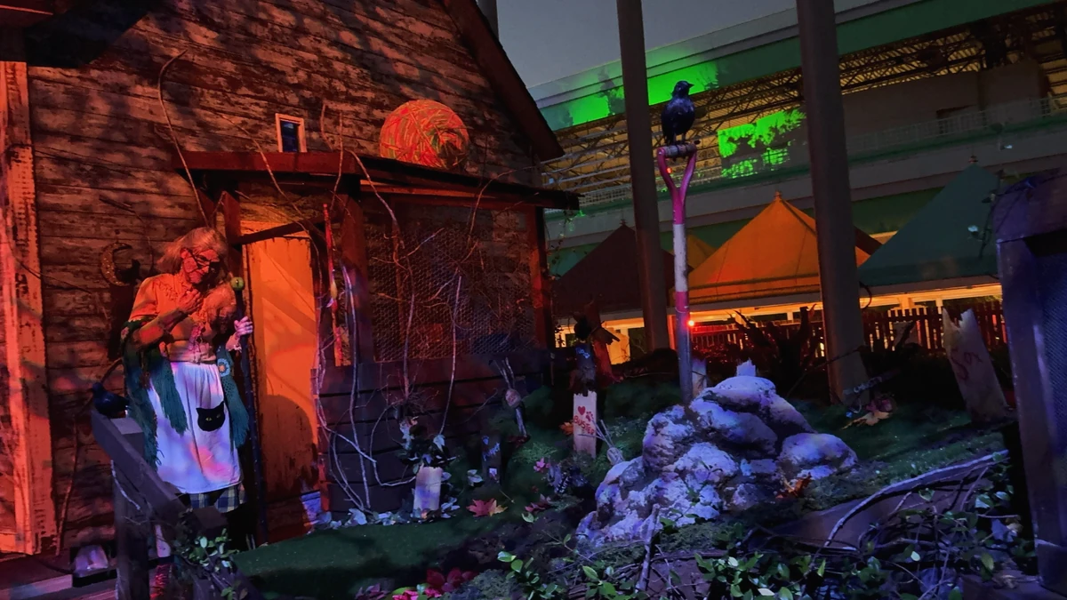The Cat Lady of Crooked Lane (Character) | Halloween Horror Nights Wiki ...