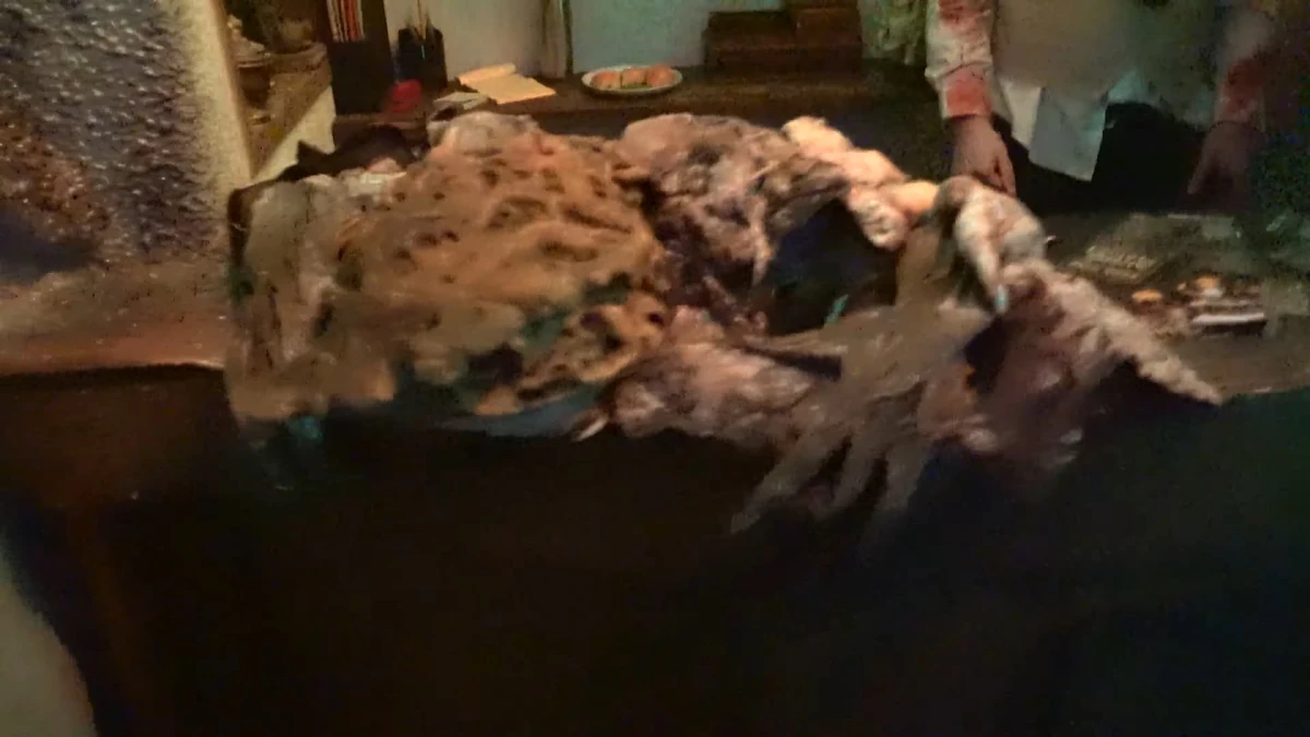 Possessed Desk | Halloween Horror Nights Wiki | Fandom