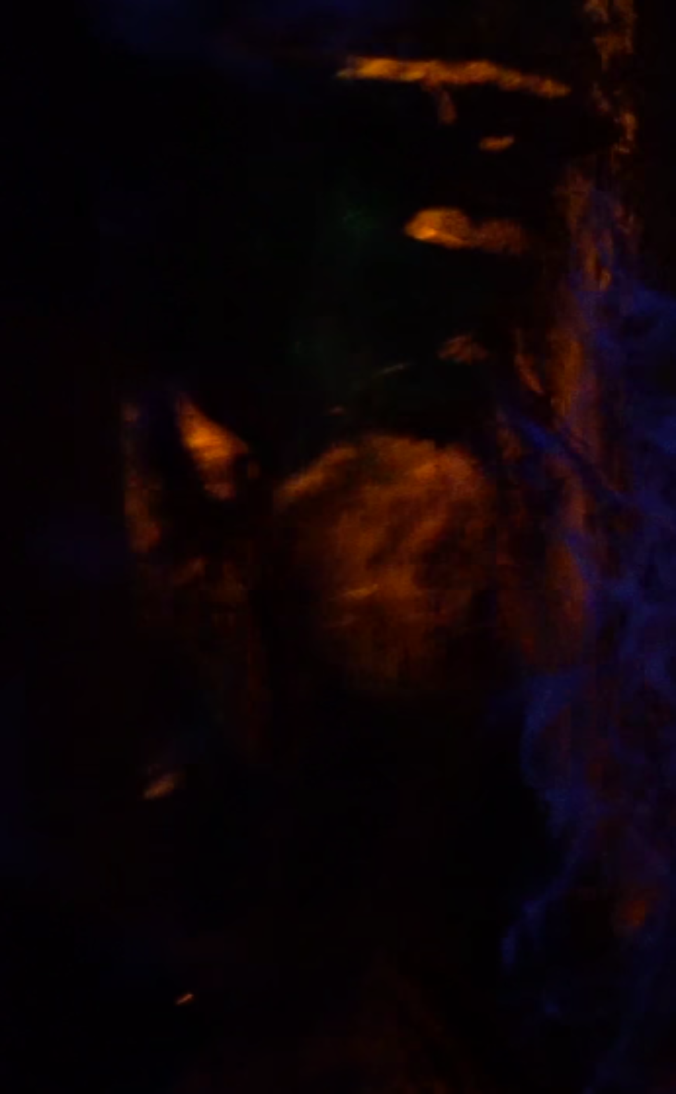 Swamp Zombie Captain Halloween Horror Nights Wiki Fandom