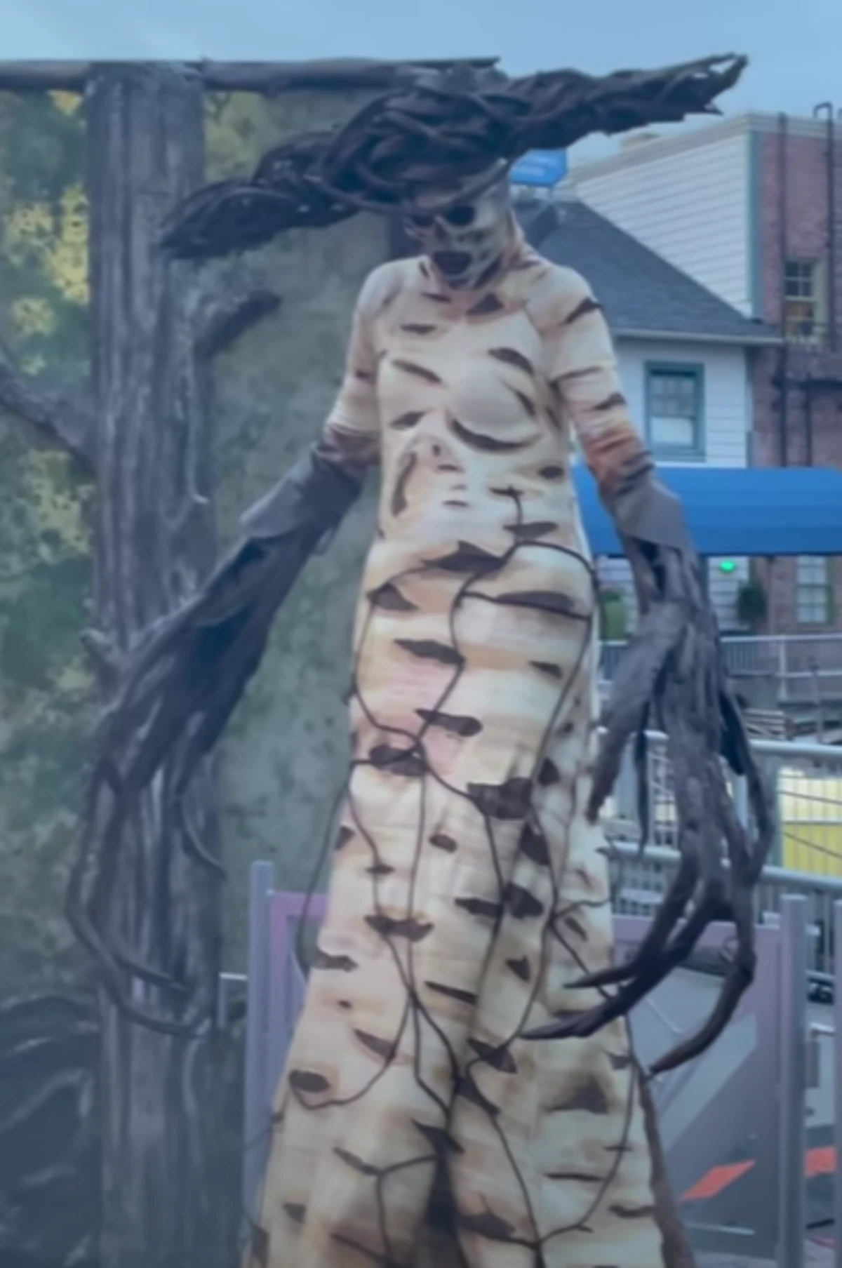 The Birch | Halloween Horror Nights Wiki | Fandom