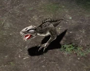 Blind Wolf | Halo SPV3 Wiki | Fandom