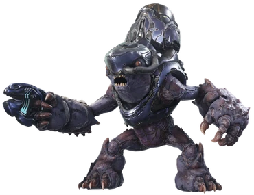 Unggoy | Halo University Wiki | Fandom