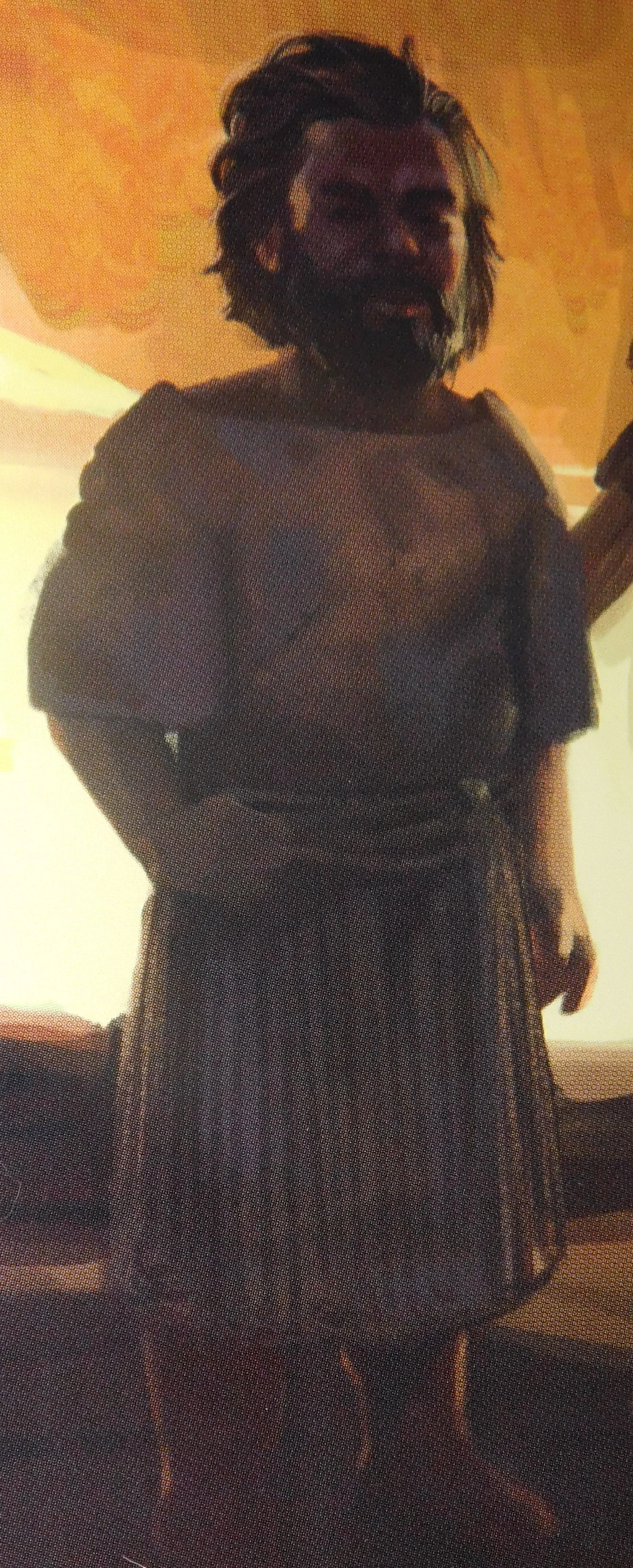 Riser | Halopedia | Fandom