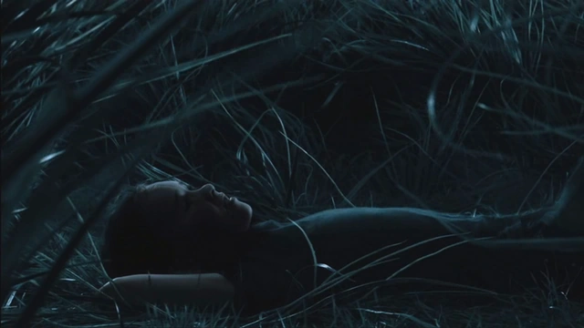 Starry Night | Halopedia | Fandom