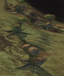 Flood-Stalker | Halopedia | Fandom