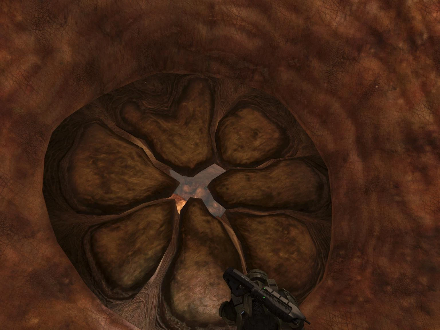 Porta | Halo Alpha | Fandom