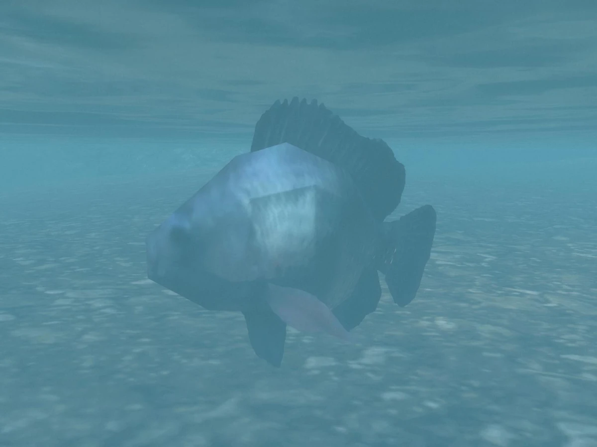 Fish (Tempest) | Halo Alpha | Fandom