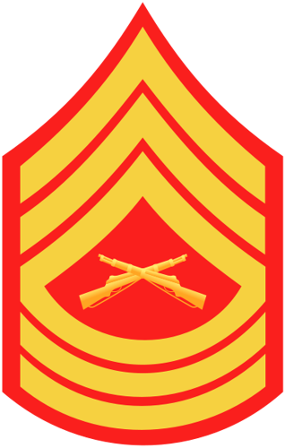 Master Sergeant | Halo Alpha | Fandom