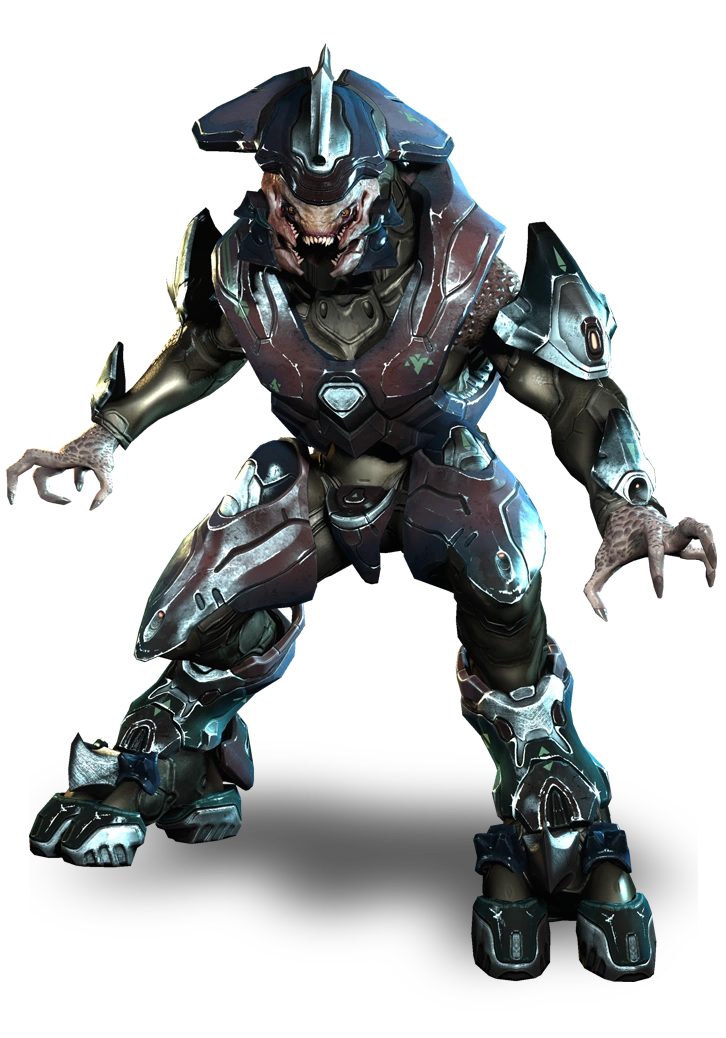 Sangheili Comandante | Halopedia | Fandom