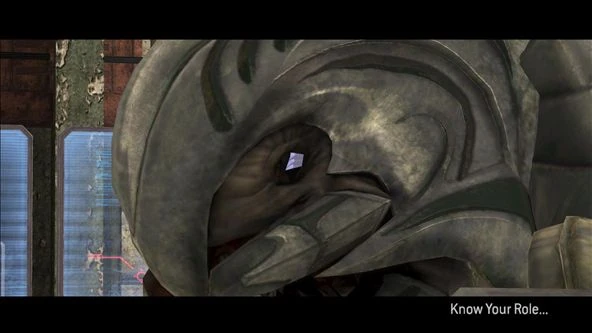 Arbiter Eye Glitch | Halo Alpha | Fandom