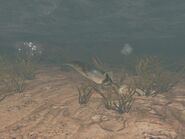 List of animals | Halo Alpha | Fandom