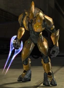 Sangheili Zealot | Halopedia | Fandom