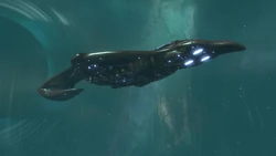 Halo Covenant Supercarrier