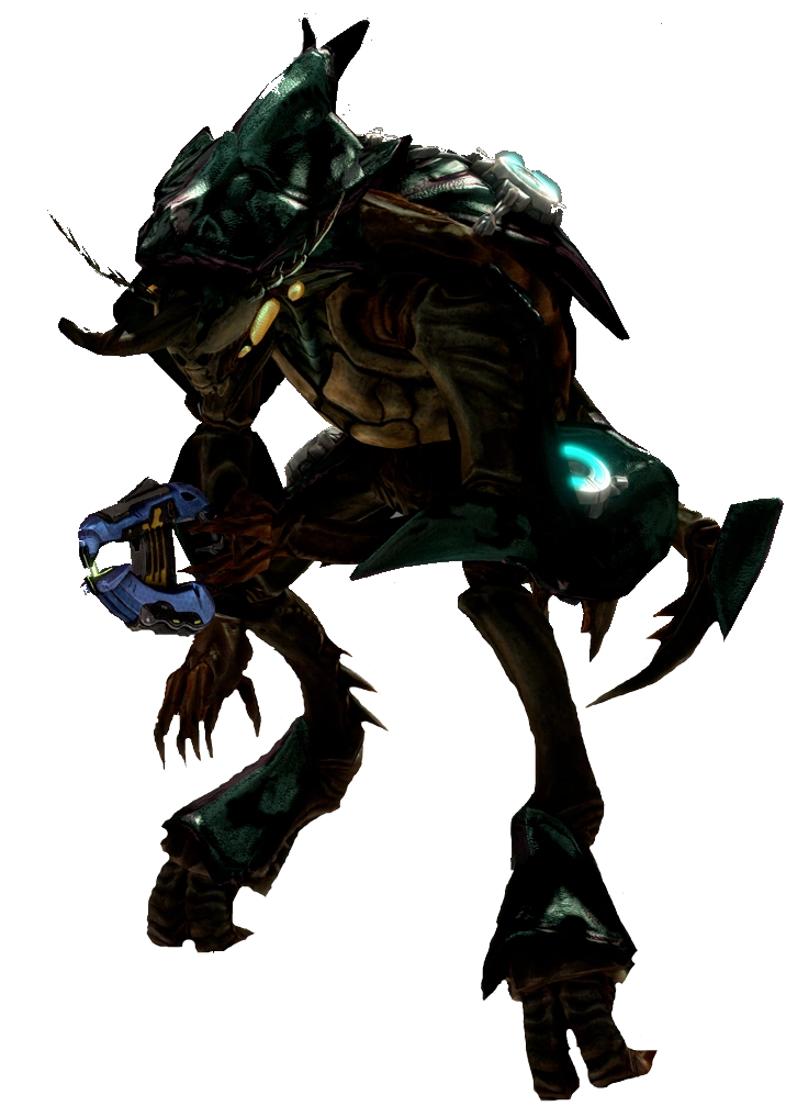 Yanme'e Ultra | Halopedia | Fandom