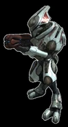 Sangheili | fr.Halopedia | Fandom