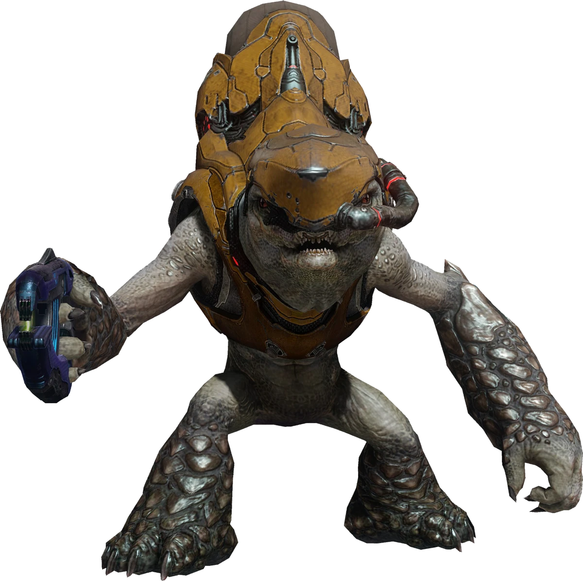 Unggoy Storm | Halo Alpha | Fandom