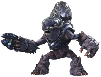 Unggoy | Halo Alpha | Fandom