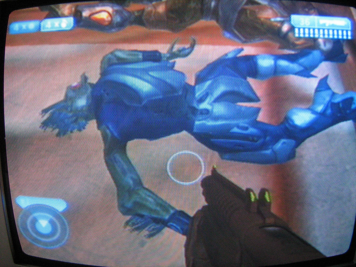 Blue Jackal | Halo Alpha | Fandom