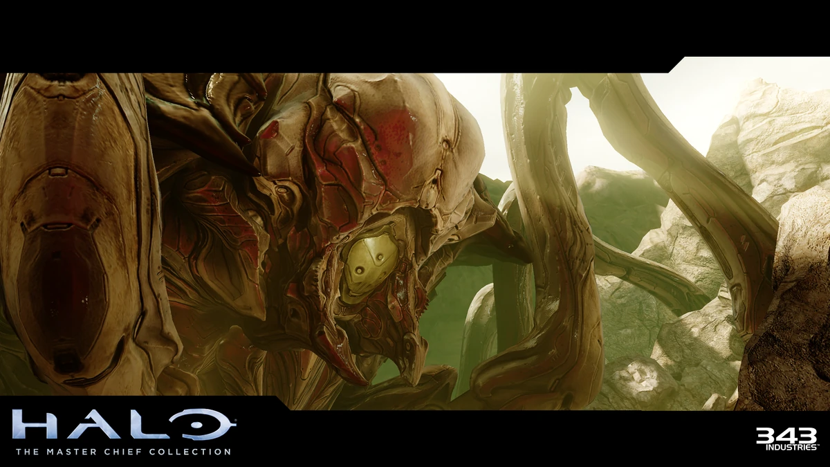 Smooth Operator | Halo Alpha | Fandom