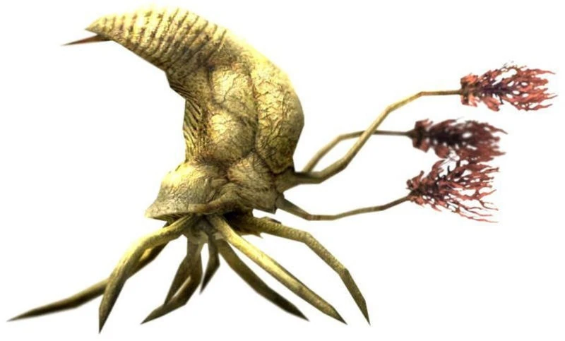 Halo Flood Infection Form