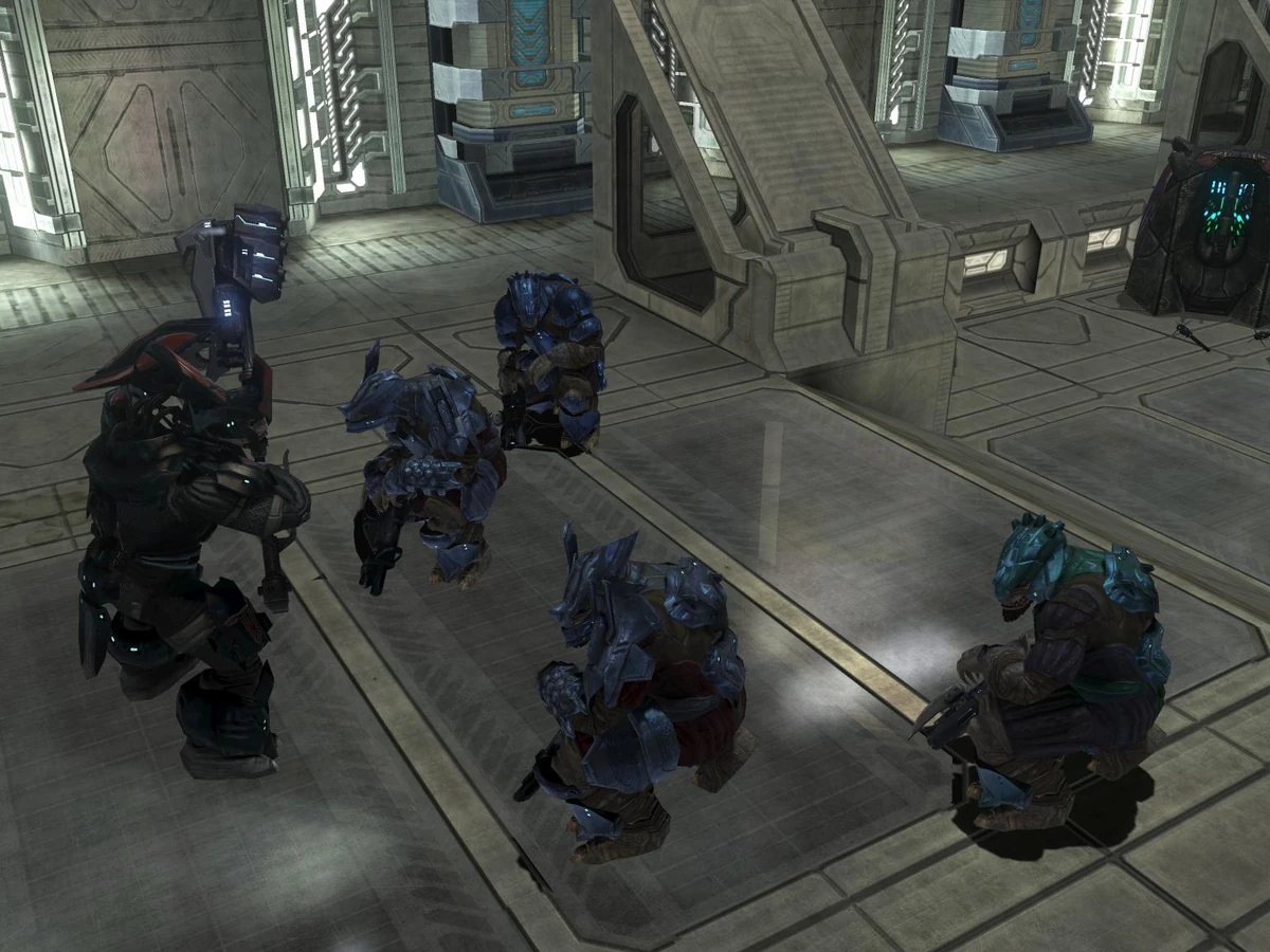 Covenant Loyalist | Halopedia | Fandom