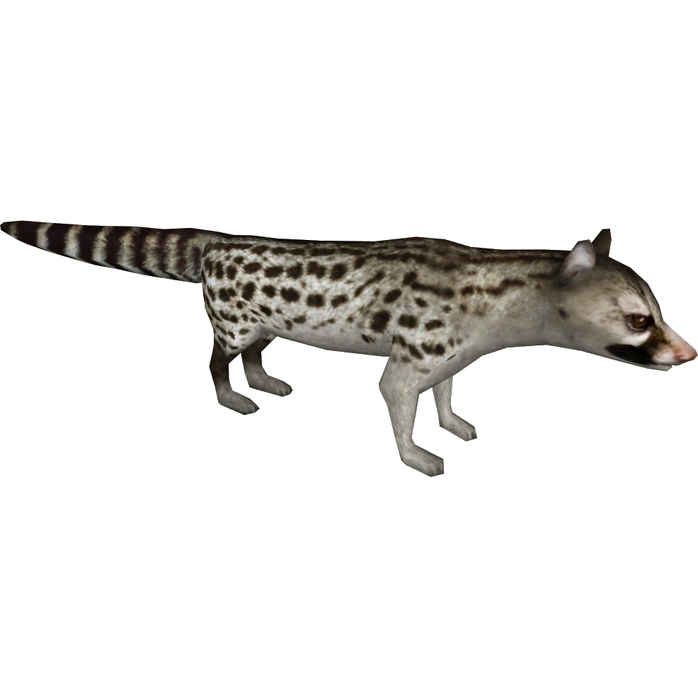 Miacis | Halo Fanon | Fandom