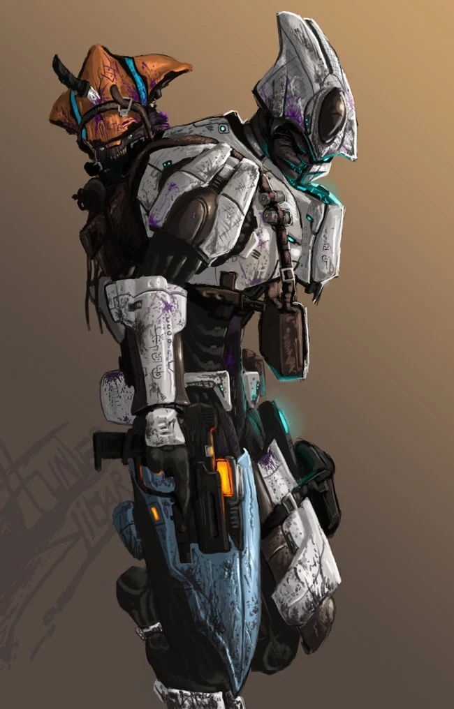 Ro'nin | Halo Fanon | Fandom