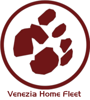 Venezia Home Fleet (HU) | Halo Fanon | Fandom