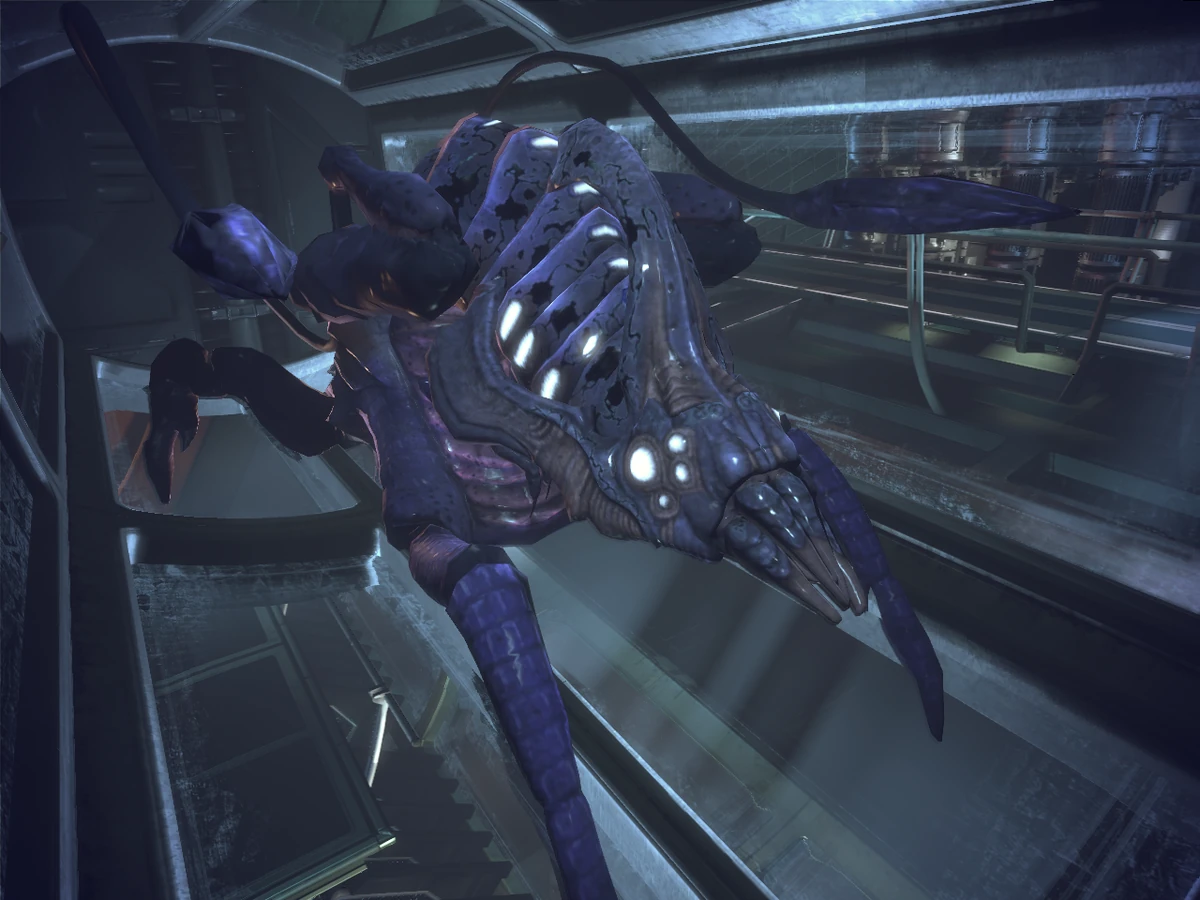 Ragai | Halo Fanon | Fandom