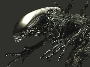 Xenomorph | Halo Fanon | Fandom