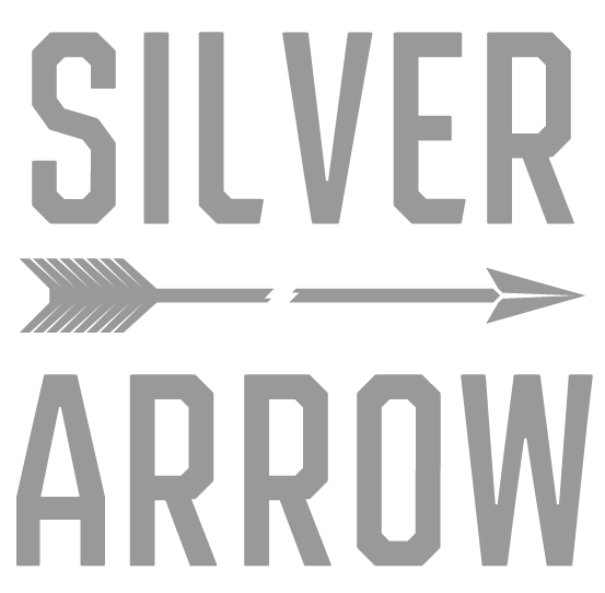 Silver Arrow | Halo Fanon | Fandom