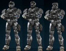 Spartan Silver Team | Halo Fanon | Fandom