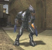 Sangheili | HaloHistory and Gaming! Wiki | Fandom