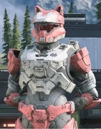Spartan-Cat | Halo Legends Wiki | Fandom