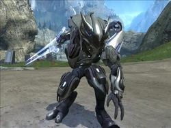 Ripa`Dearodee | Wiki Halo Fanon | Fandom