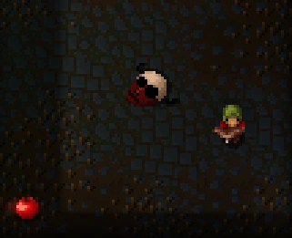 Secrets | Hammerwatch Wiki | Fandom