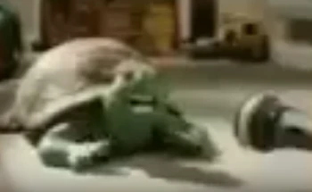 Hamood Habibi 4 | Hamood Habibi Wiki | Fandom