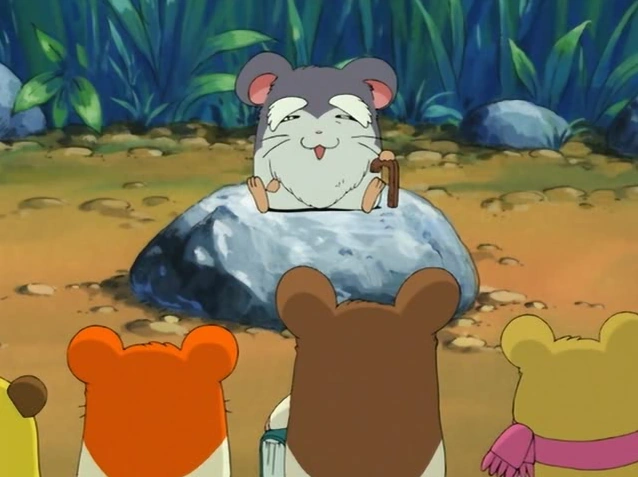The Wise, Elder Ham | The Hamtaro Wiki | Fandom