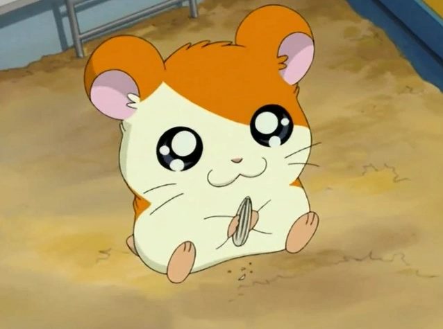 Maxwell's Big Scoop!/Gallery | The Hamtaro Wiki | Fandom