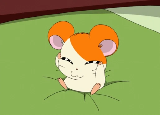 Hamha-Man the Justice Hero/Gallery | The Hamtaro Wiki | Fandom