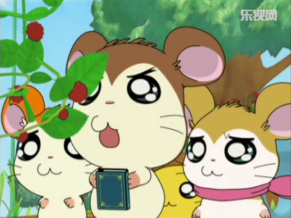 Maxwell Really Likes Books | The Hamtaro Wiki | Fandom