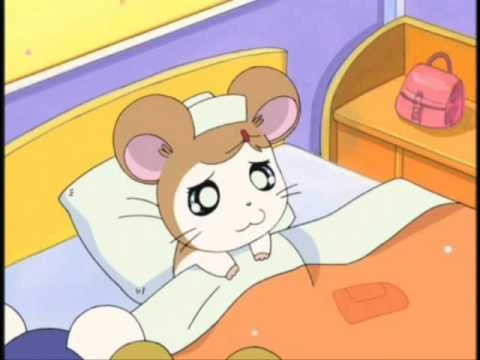 Flora | Hamtaro Wiki | Fandom