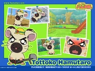 Boss | The Hamtaro Wiki | Fandom